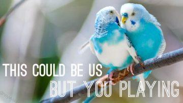 80 Cutest Relationship Meme - Meme Central