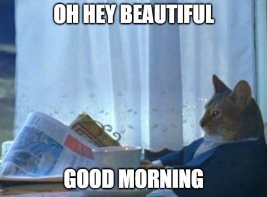 79 Good Morning Meme To Enjoy Your Day - Meme Central