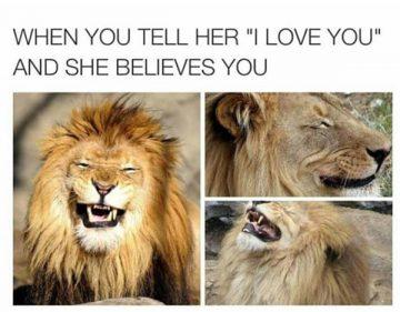 53 Cutest I Love You Meme - Meme Central