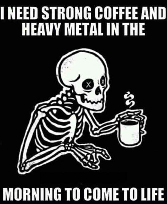 ☠️ 42 Funniest Skeleton Meme - Meme Central