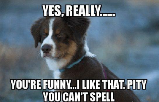 43 Funniest Really Meme - Meme Central