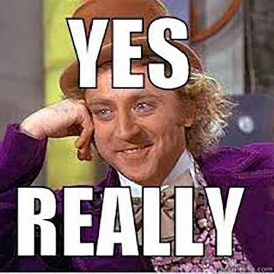 43 Funniest Really Meme - Meme Central