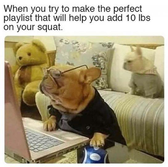 52 Funniest Leg Day Meme - Meme Central