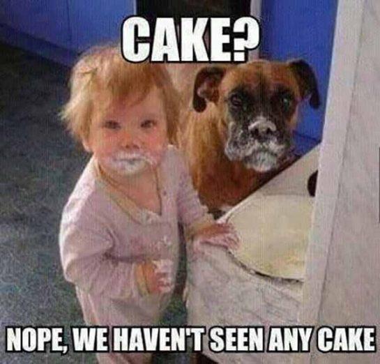 63 Funniest Baby Meme - Meme Central