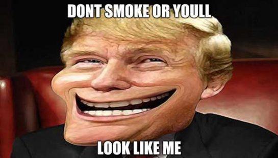 52 Funniest Troll Meme - Meme Central