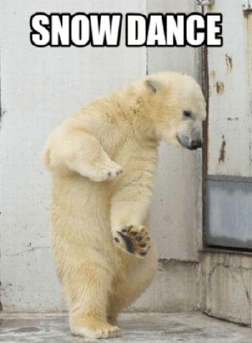 ️ 86 Best Snow Meme - Meme Central