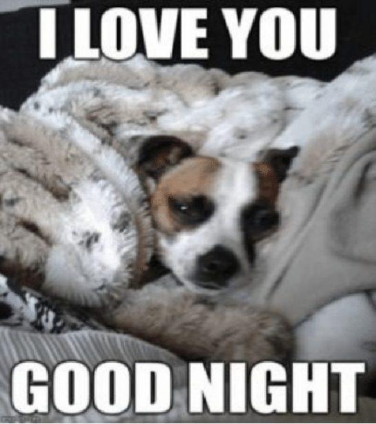 56 Best Good Night Meme - Meme Central