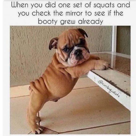 52 Funniest Leg Day Meme - Meme Central
