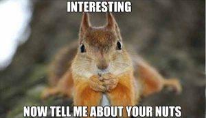 ️ 40 Funniest Squirrel Meme - Meme Central