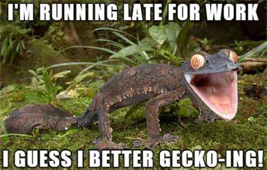 ‍♀️ 38 Best Running Meme - Meme Central