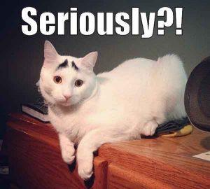 樂 30 Funniest Seriously Meme - Meme Central