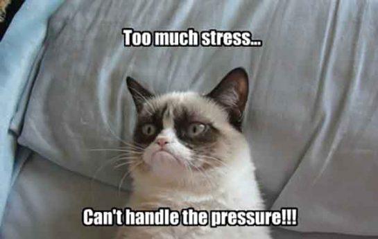 53 Best Stress Meme That Might Make You Laugh - Meme Central