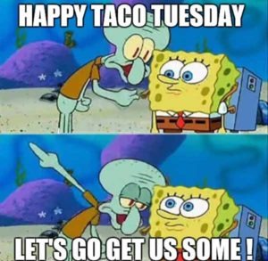 31 Funniest Taco Tuesday Meme - Meme Central