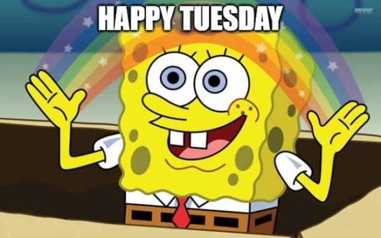 61 Best Tuesday Meme - Meme Central