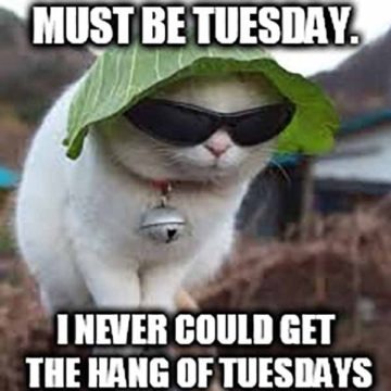 61 Best Tuesday Meme - Meme Central